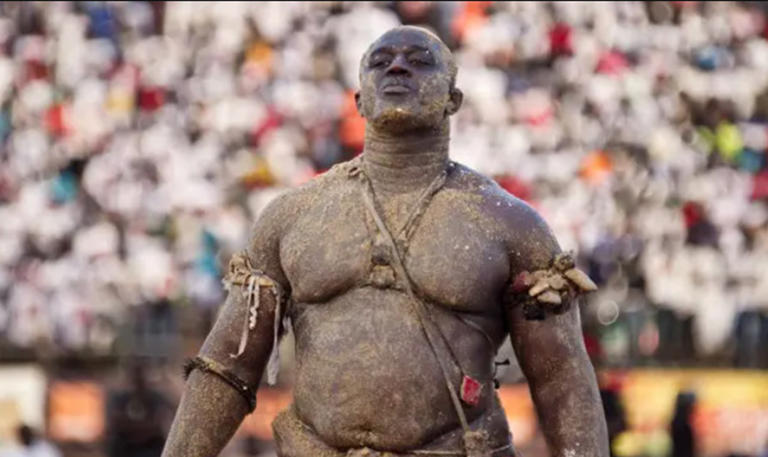 Il Laamb: storia, tradizione e religione unite nella lotta tipica ...