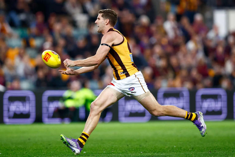 Luke Breust suffers serious knee injury as Hawthorn Hawks face AFL ...