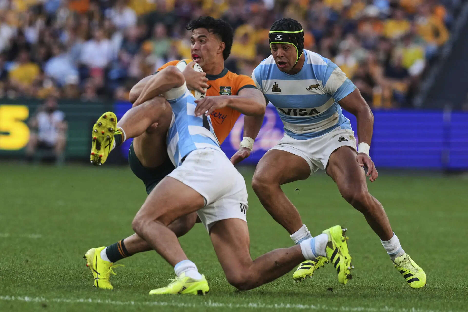 Joseph Sua'ali'i scores but Wallabies fall to Argentina in Rugby ...