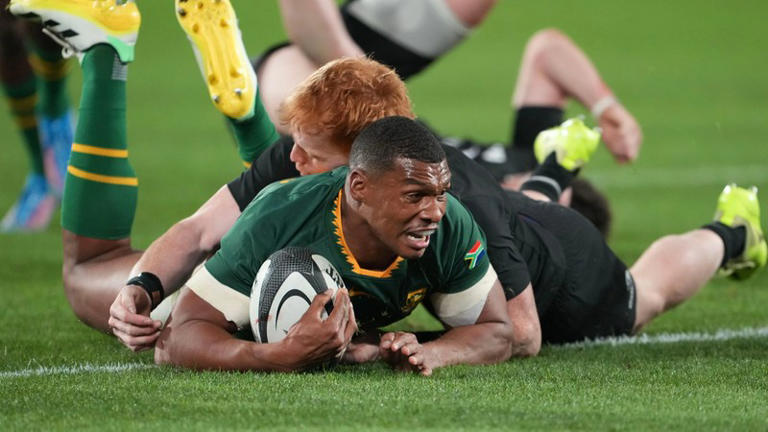 Springboks blow away Kiwis to keep Rugby Championship title defence alive