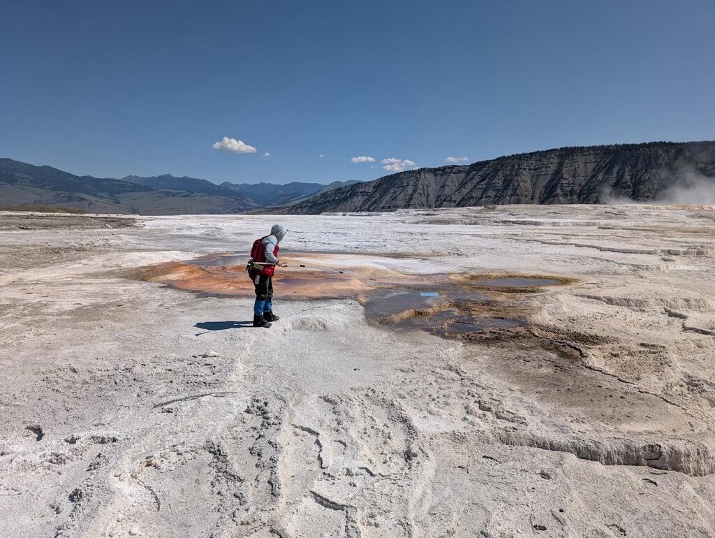 Hats Off: Yellowstone shows off hundreds of caps blown into thermal ...
