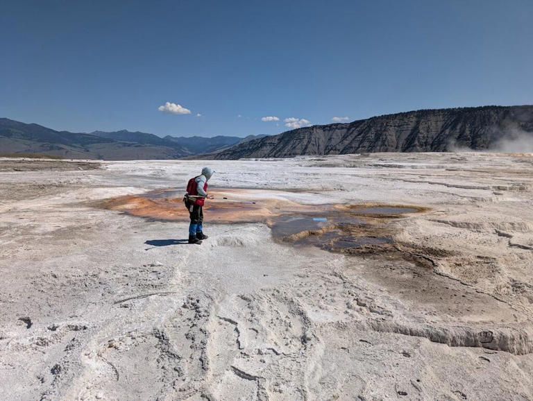 Hats Off: Yellowstone shows off hundreds of caps blown into thermal ...