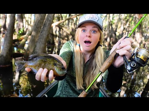 Spicy swamp bluegill caught, cleaned, and cooked outdoors