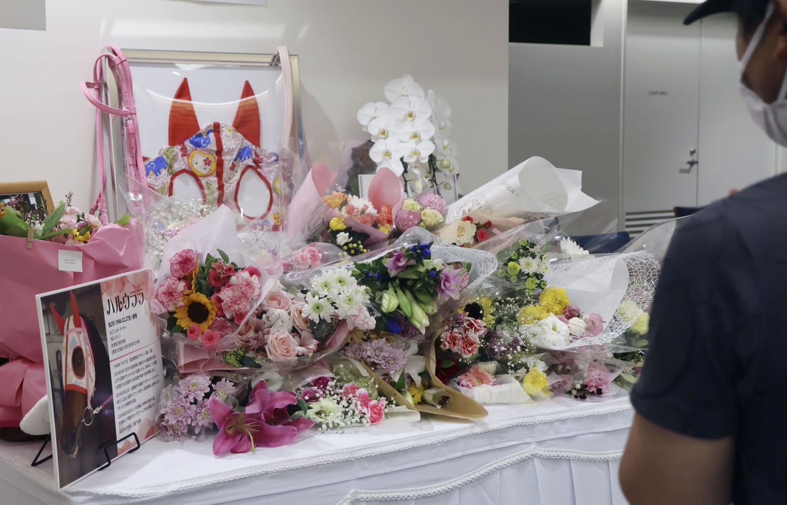 Memorial held for Japanese horse Haru Urara dubbed "star loser"