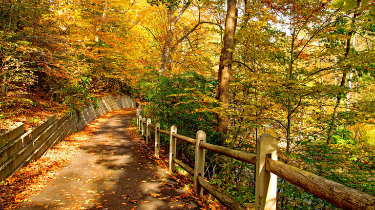 America's Oldest Bridge Thrives In A Picturesque Philadelphia Park With ...