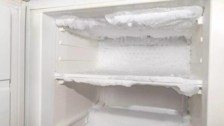 ‘Would have frozen to death if …’ : Mother of 2 trapped in -20°C ...