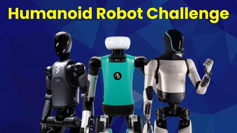 Battery life to demand: Humanoid robots industry faces key challenges