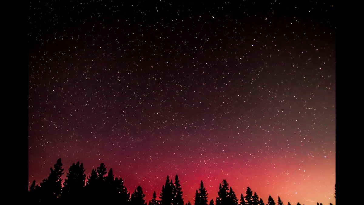 The First Day of Fall Opens a Cosmic Portal—Fall Equinox Horoscopes