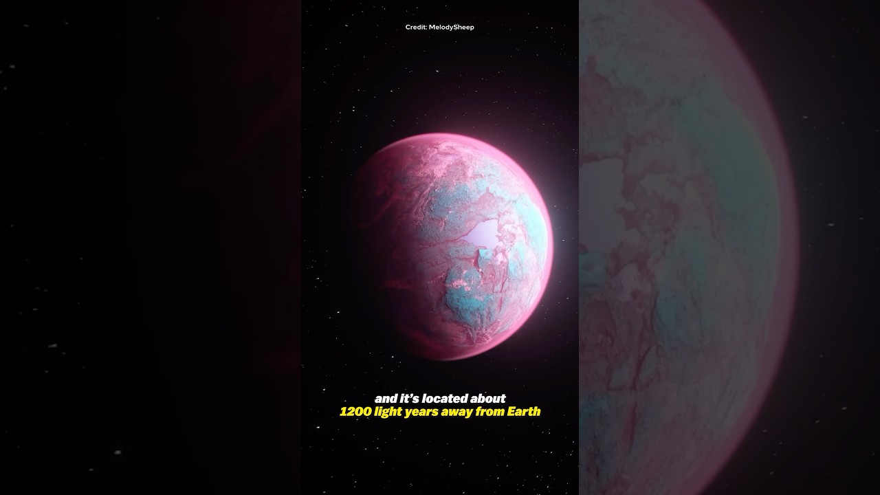 The cotton candy world: a fun journey