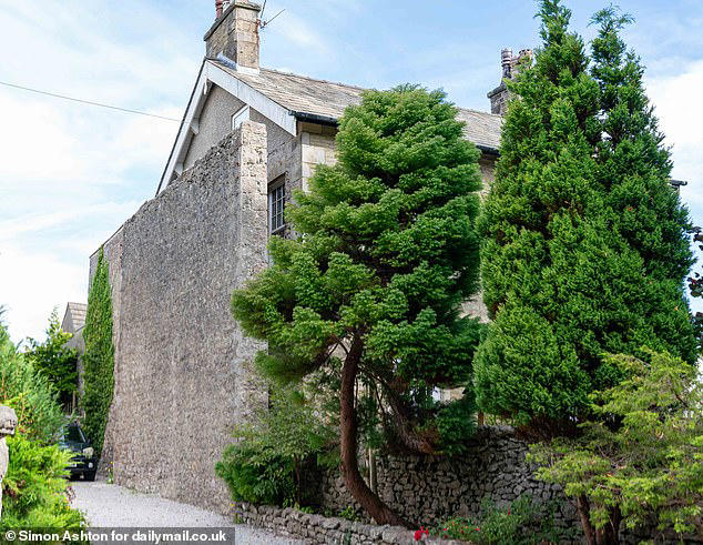 How homeowner went to war with neighbour nextdoor after building 20ft ...