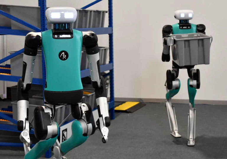 Battery life to demand: Humanoid robots industry faces key challenges
