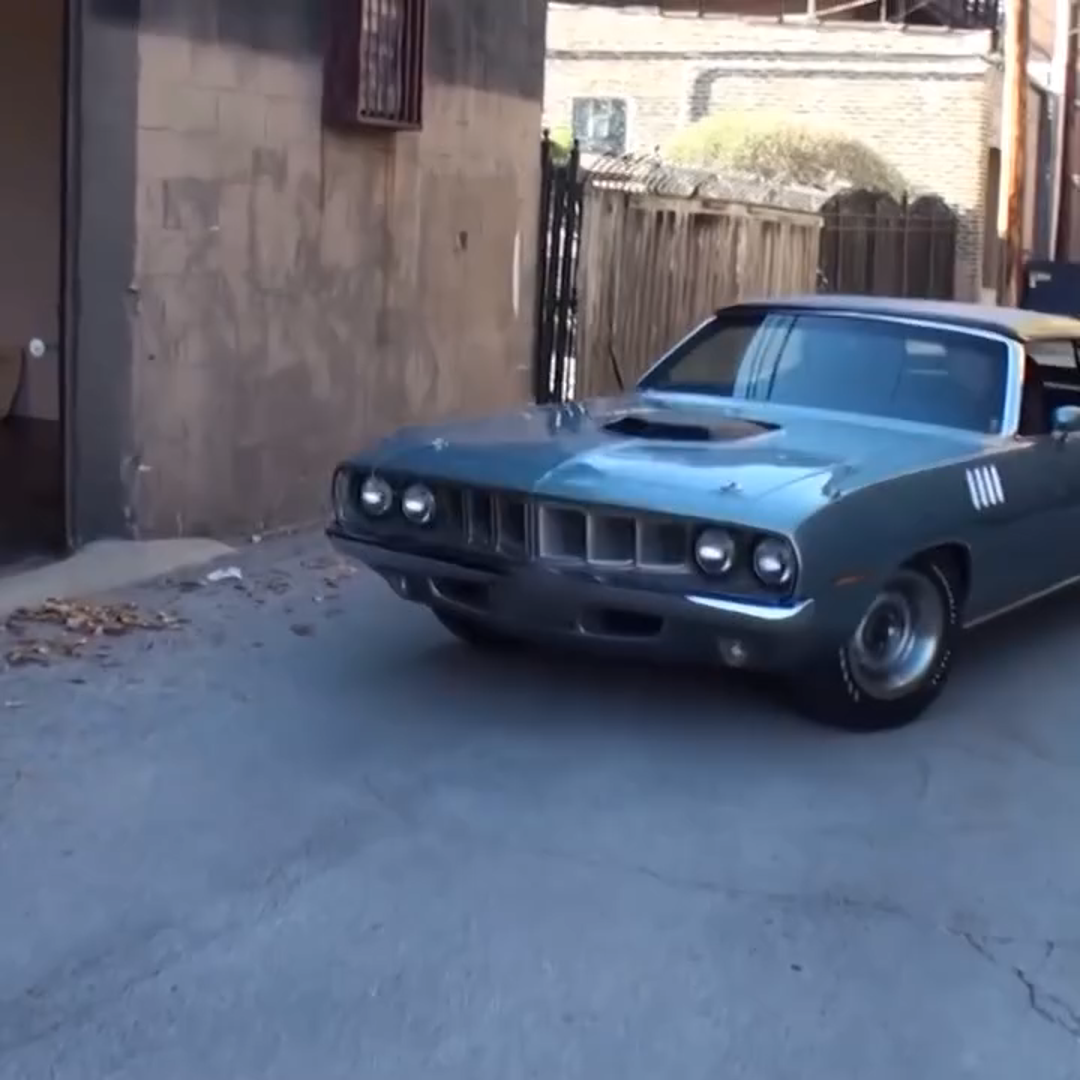 Inside the Cuda Club