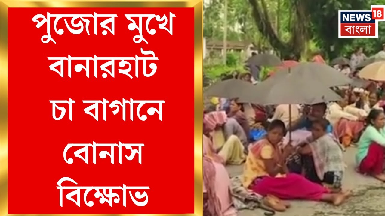 Banarhat Tea Garden | বানারহাটে চা শ্রমিকদের বোনাস বিক্ষোভ, ভারত-ভুটান ...