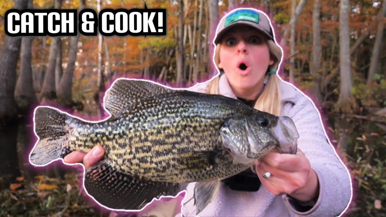 Fisherman lands the biggest swamp slab of the entire year