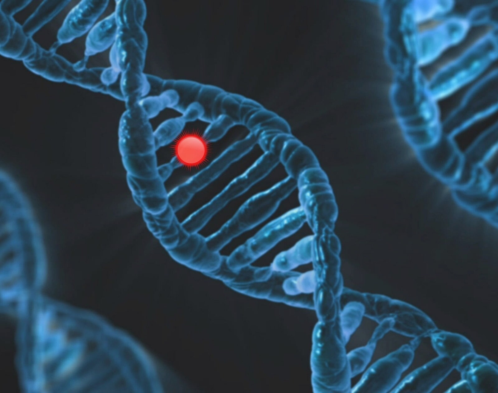 Gene discovery could lead to new treatments for cancer and other ...