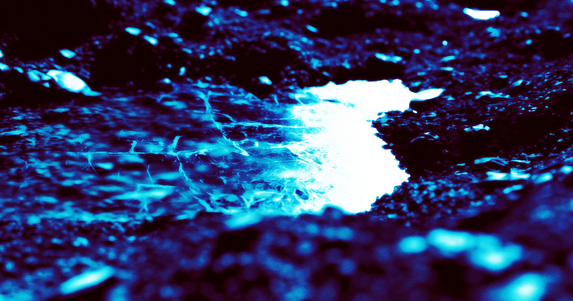 Scientists Find Evidence of Flowing Water on Giant Asteroid