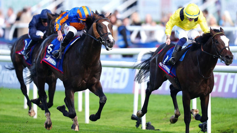 Scandinavia gives O'Brien historic St Leger victory
