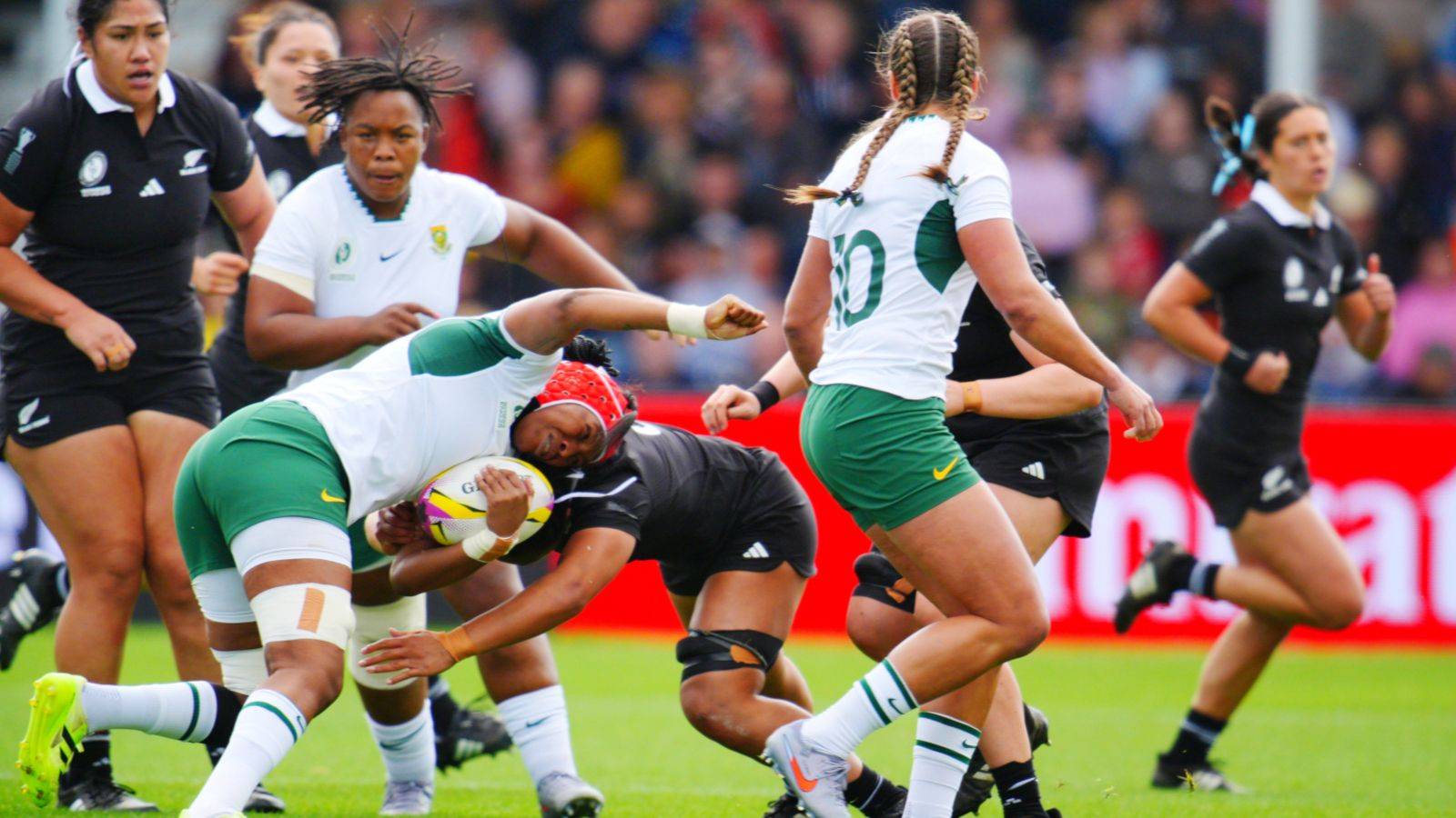 Springbok women face Black Ferns for the first time on SA soil