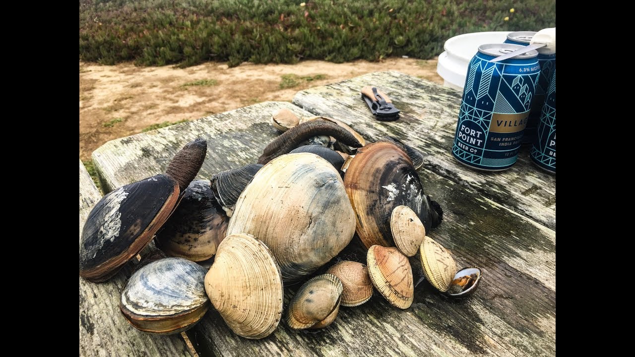I dug for clams and made chowder! 🦪