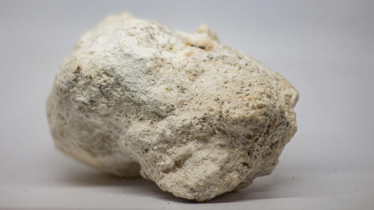 The Ice Cream Flavor That Might Have Used Whale Poop As An Ingredient