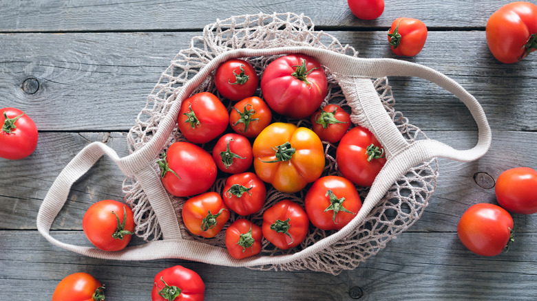 Tomatoes Are Grown Differently In Florida: Try The Easy Weaving Method ...