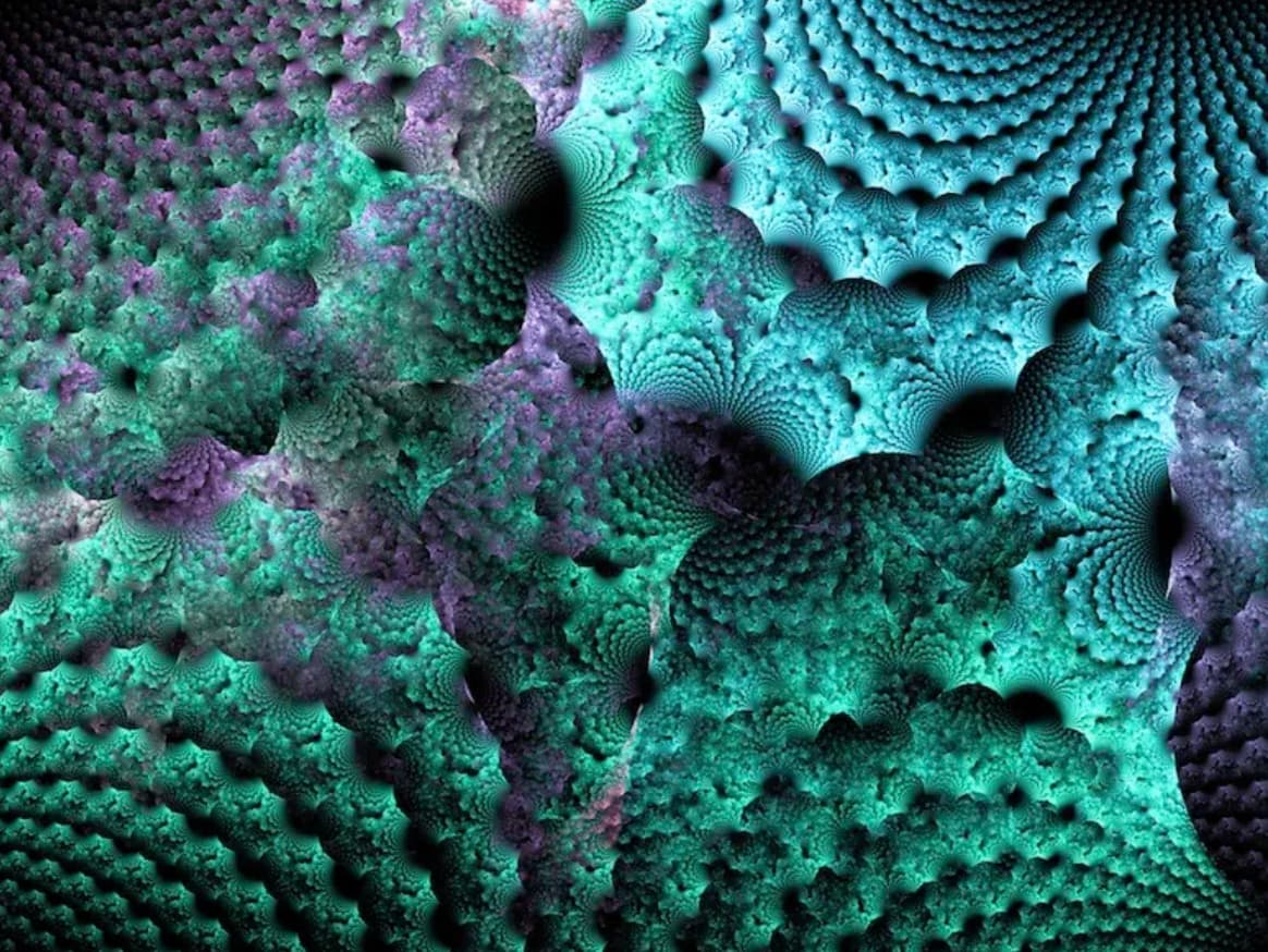 Fun Facts About the Organ That Named Itself: The Brain