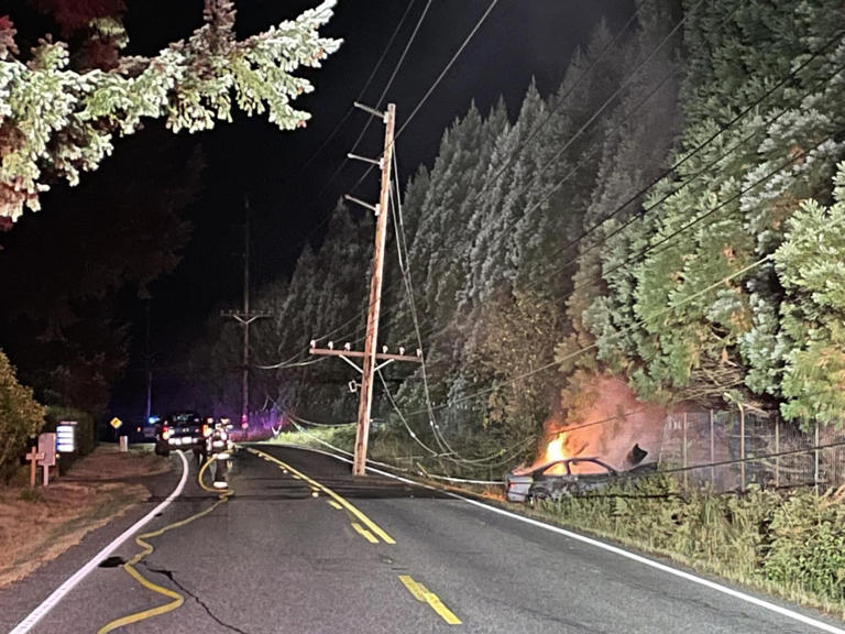 Car crashes into power pole in Lacey, sparking fire and knocking out ...