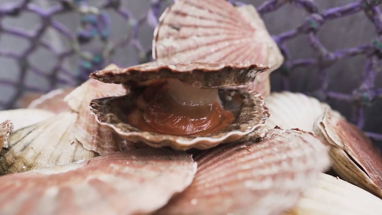 Tata Technologies to acquire Germany’s ES-Tec Group in euro 75 million ...