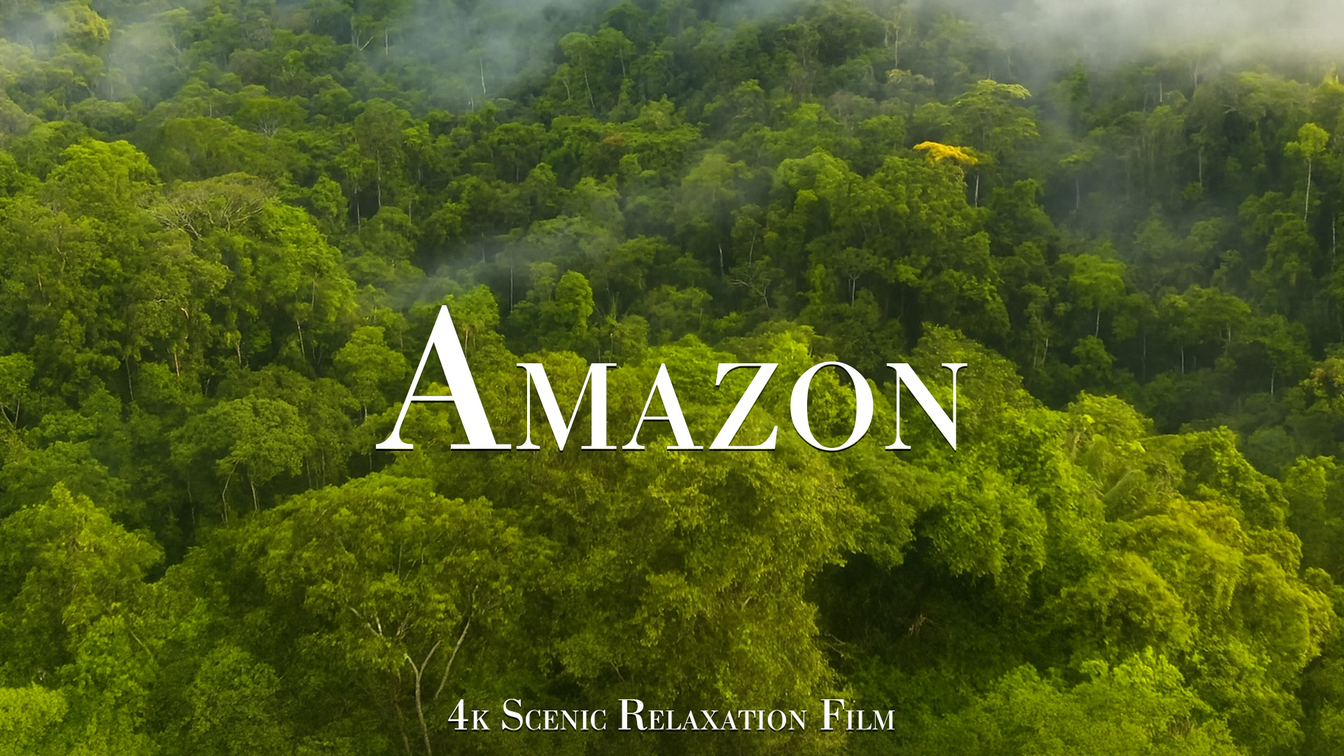 A Quiet Look at the Amazon Canopy – 4K Aerial Footage