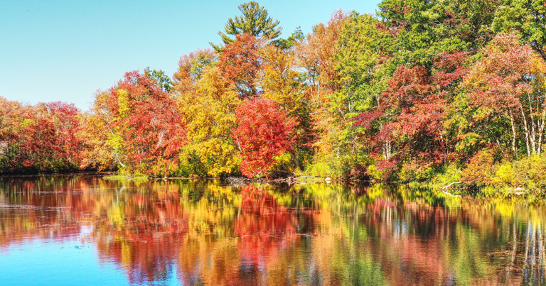 The Best Times and Places to View Rhode Island's Fall Foliage in 2025