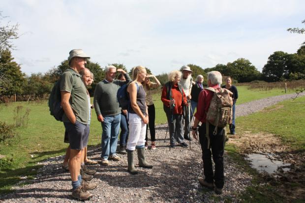 CPRE Sussex hails third Countryside Day at Knepp a 'huge success'