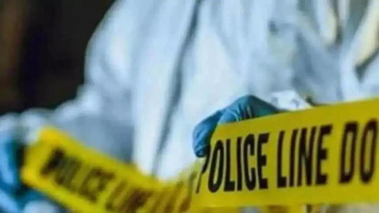 ‘Baby’s crying disturbed us': Mother, lover killed two-year-old child ...