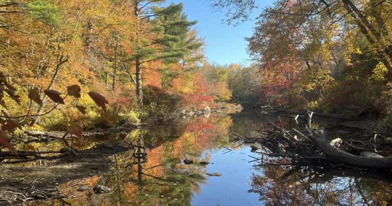 The Best Times and Places to View Rhode Island's Fall Foliage in 2025