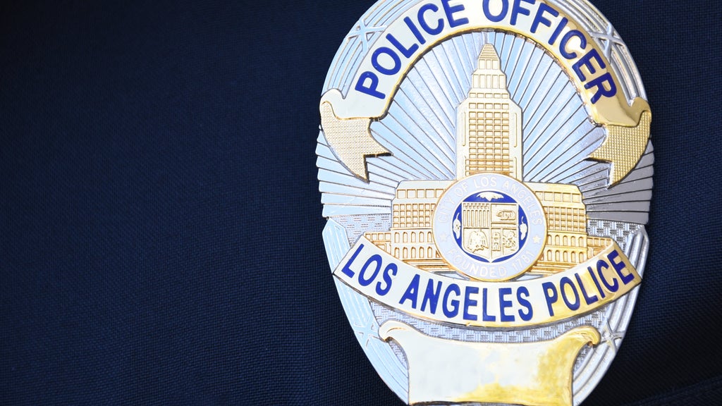 LAPD detectives searching for hit-and-run driver who struck and killed ...