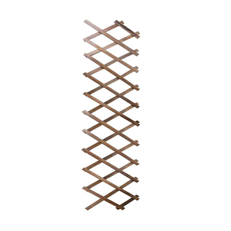 I put a garden trellis in my kitchen, and it was brilliant