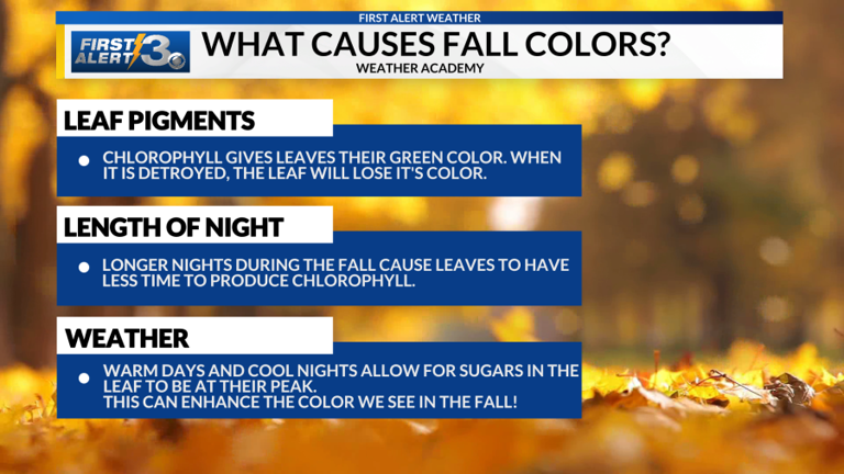 When you can see peak fall colors in Columbus, Ga