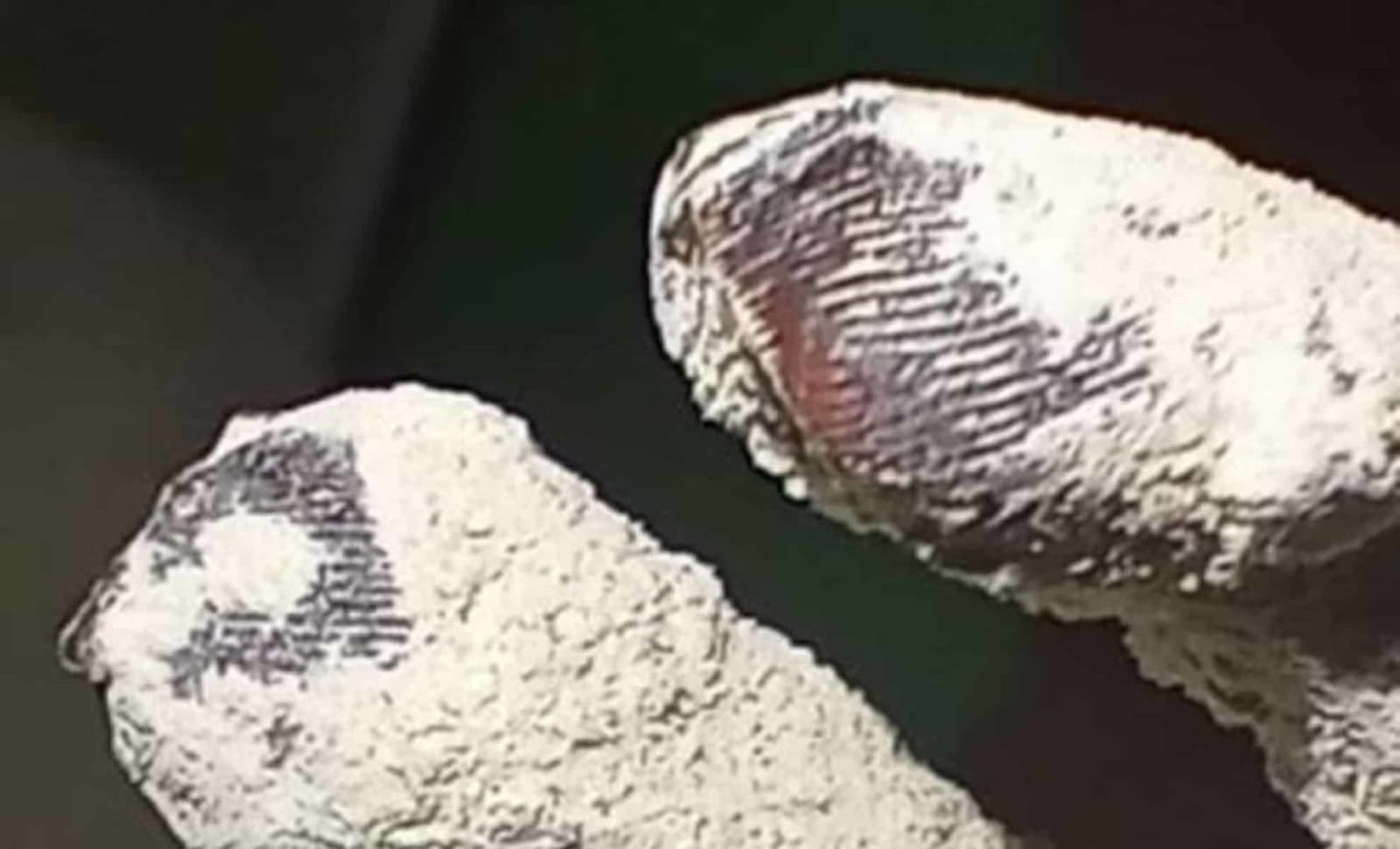 Scientists Split As Peru’s “Alien Mummies” Dismissed As Dolls—But ...