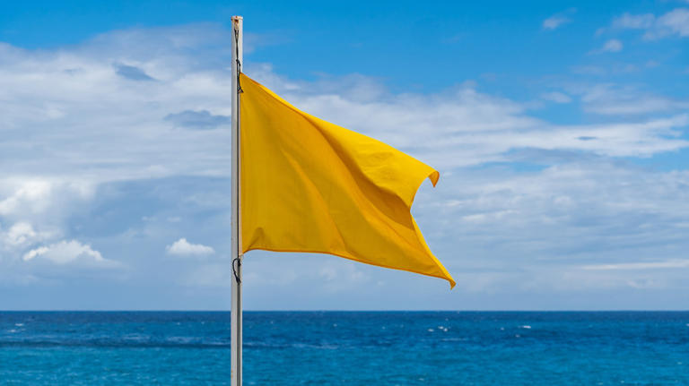 What Do Beach Flag Colors Really Mean?