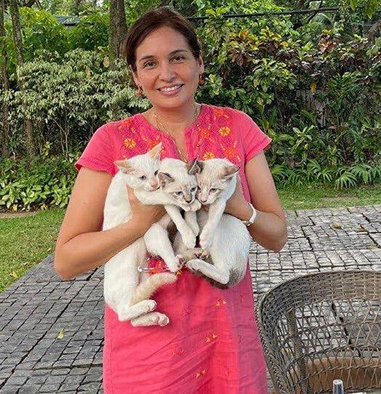 Furry tales from cat lovers