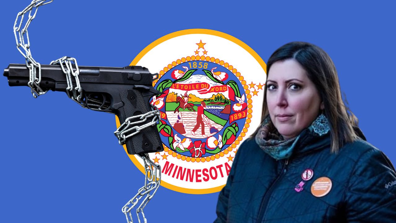 State Hires a Gun Control Activist To Coordinate Red Flag Program