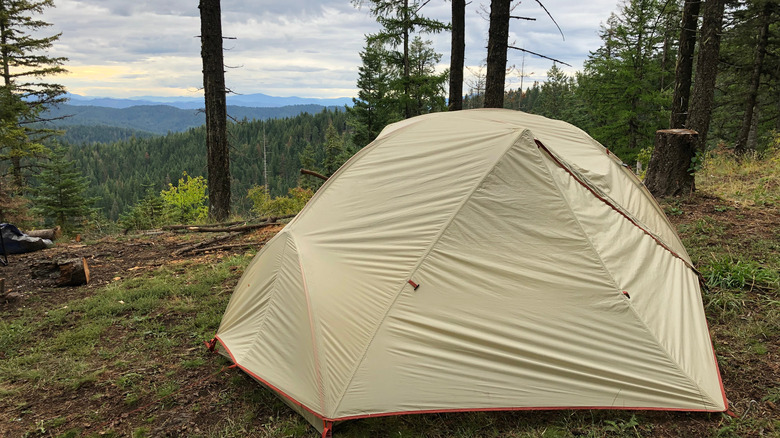 How To Find Free Camping At Any Of America's Stunning National Forests