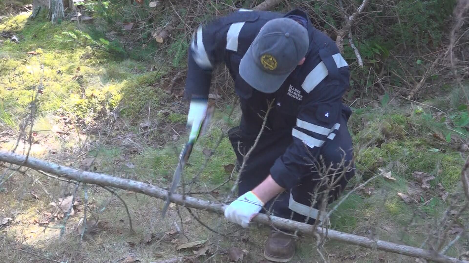 Maine Maritime Academy students help reduce wildfire risk in Castine