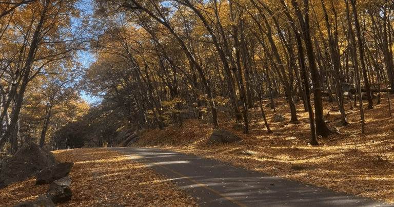The Best Times and Places to View Rhode Island's Fall Foliage in 2025