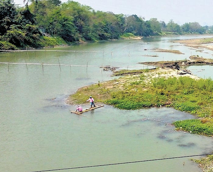 Documenting nature,one photo and pedal at a time