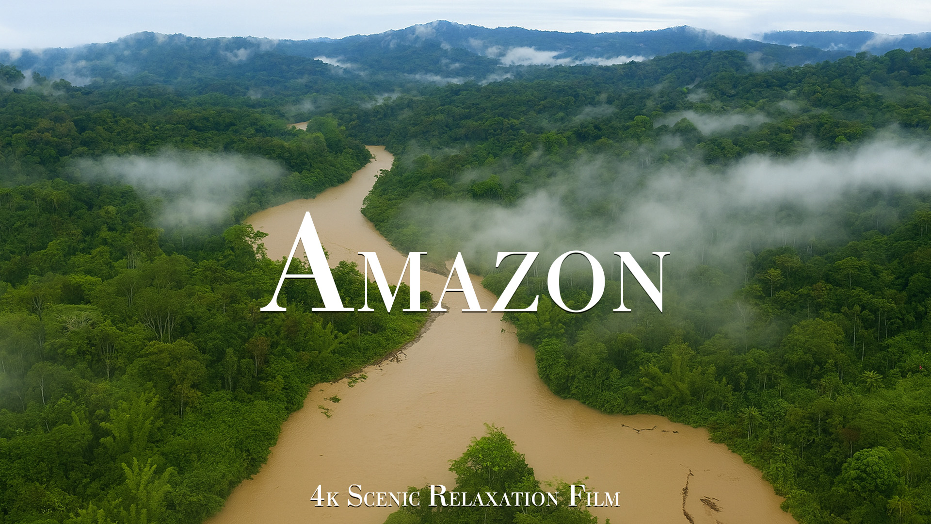 What Nature Looks Like in the Amazon – Captured in 4K