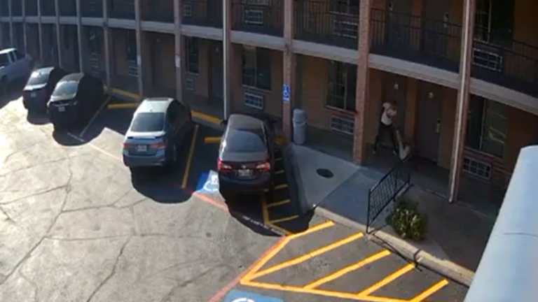 'Time For...': Vivek Ramaswamy on Beheading of India-Origin Chandra Nagamallaiah by Co-Worker In ...