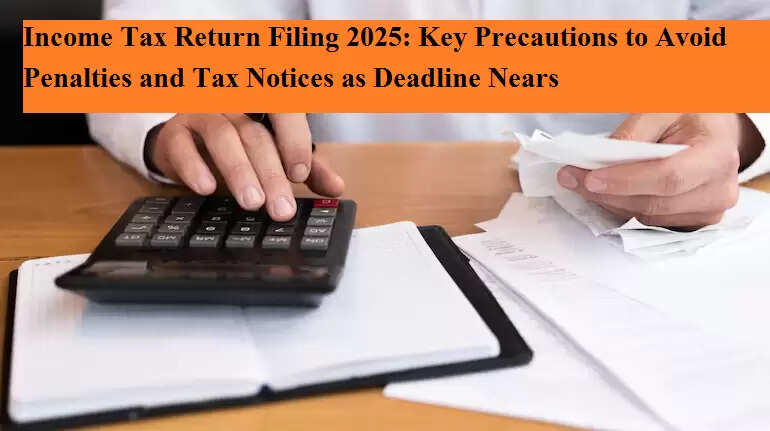 Income Tax Return Filing 2025: Key Precautions to Avoid Penalties and ...