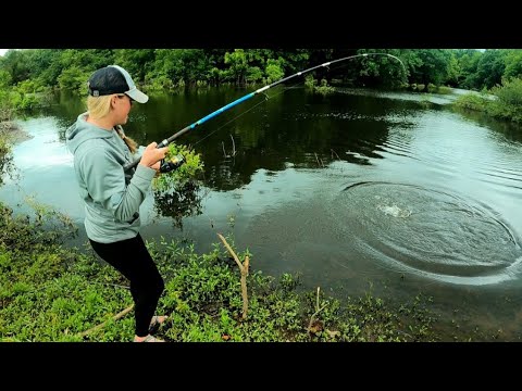 Flooded spillway overflows with prehistoric monster fish