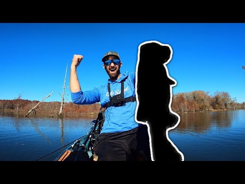 Angler uses finesse swimbait, catches numerous bass on shallow flat
