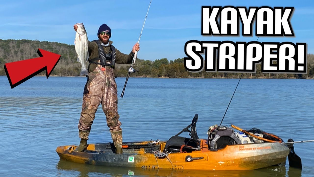 Insane kayak striper fishing catches giant fish